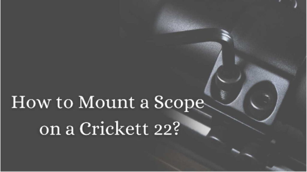 Learn How to Mount a Scope on a Crickett 22 | Complete Guide
